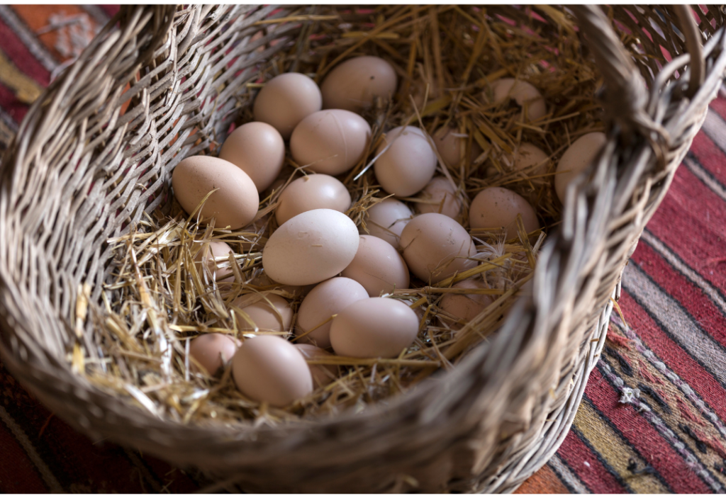 Eggs in a basket - learnenglishthroughliterature.com