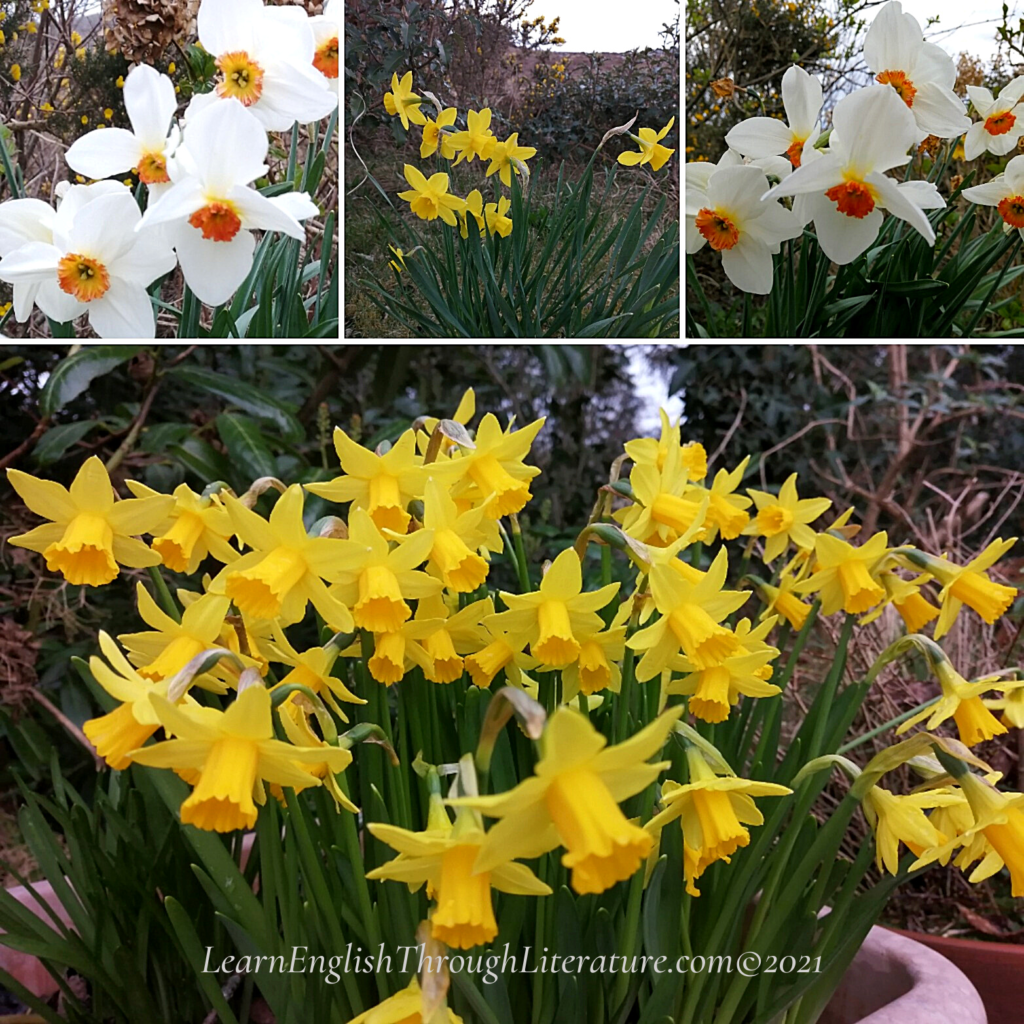 Mini-Lesson Monday, Lesson #200 (Part 2): Different Ways of Seeing ...