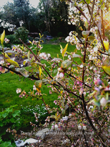 Lesson #221: How and When To Use Paragraph Breaks in Writing ...