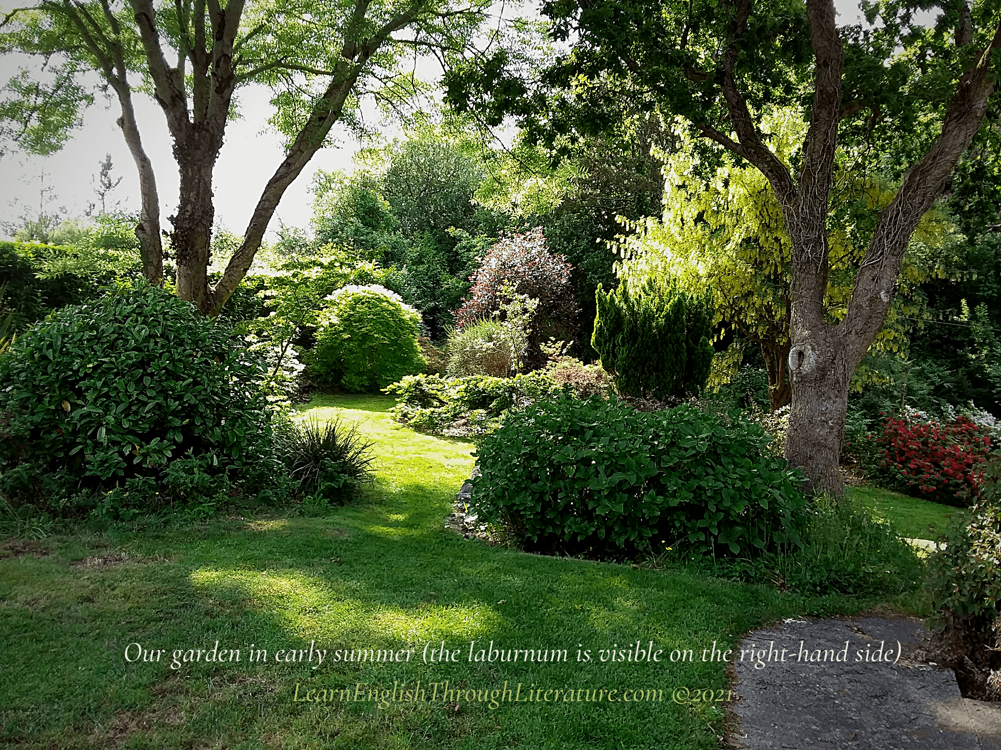 LearnEnglishThroughLiterature.com-©2021-Lesson-239-Connecting-with-past ...