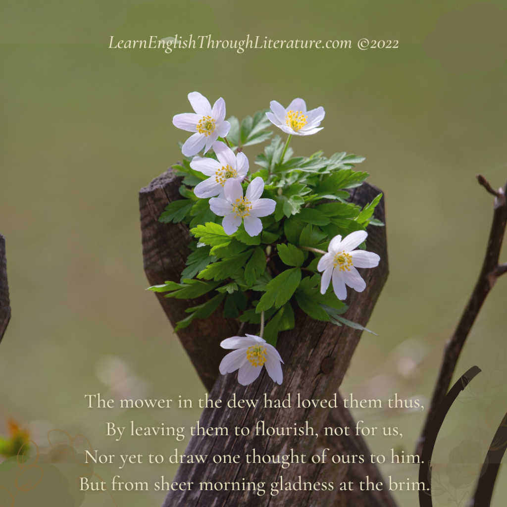 Lesson #282: Reflecting on Work, Empathy, and Nature in Robert Frost’s ...